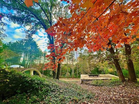 Hobbit House for Rent | Wisconsin Rental
